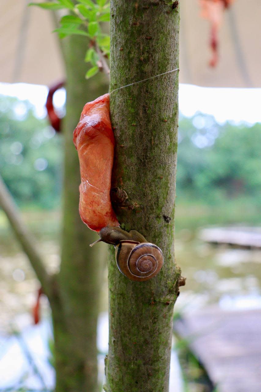 Mind or Mend the Gap merges into Listening into Hope // Sumac Space–Art ...